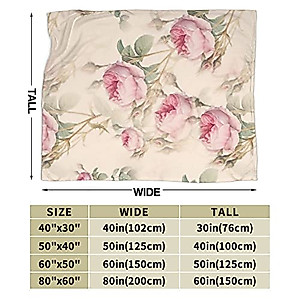 Ruoruo Roses Plants Retro Flowers Red Pink Pattern Fleece Blanket Throw Lightweight Blanket Super Soft Cozy Bed Warm Blanket for Living Room/Bedroom All Season,Gift,60"x50"