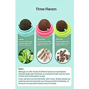 Johoxton 6 pcs Catnip Ball for Cats Wall, Catnip Wall Ball Catnip Toys for Indoor Cats Cat Nip Ball Licker Catnip Treats Silvervine Cat Toys for Indoor Cats with Catnip 3 Different Flavors (6 pcs)
