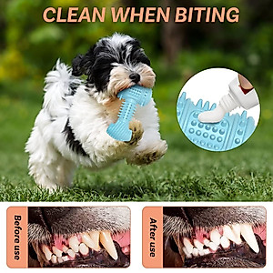DONGKER Dog Chew Toys,Rubber Dog Toothbrush Stick Interactive Dog Dental Toys for Small Medium Large Dog Aggressive Chewers