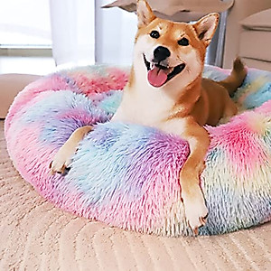 Patas Lague Calming Donut Dog Bed Cat Bed for Small Medium Large Dogs and Cats Anti-Anxiety Plush Soft and Cozy Cat Bed Warming Pet Bed for Winter and Fall (20 in, Mixed Rainbow)