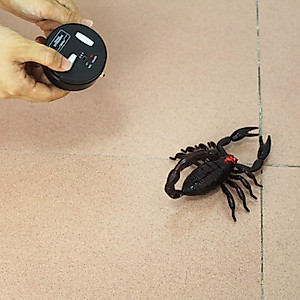 Tipmant Realistic RC Scorpion Remote Control Animal Vehicle Car Electric Scary Toy Halloween Kids Birthday Gift