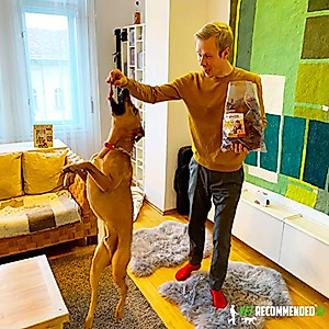 Vet Recommended Premium Beef Rawhide Chips for Dogs (Big 2lb Bag) Thick Fiber & Long Lasting Dog Chew. Made in USA.