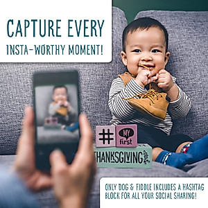 Dog & Fiddle Baby Milestone Blocks & Baby Shower Gifts. Baby Girl Baby Month Milestone Baby Girl Shower Gift Milestone Blocks for Baby boy Baby Age Milestone Blocks Baby Months Photo Prop