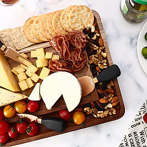 hecef Cheese Knife & Acrylic Stand Set of 5 - Stainless Steel Cheese Slicer with PP Handle & Acrylic Stand