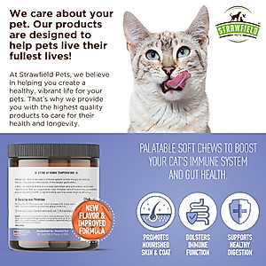 Strawfield Pets Super Chews for Cats - Lysine, Probiotics, Omega 3 Fish Oil (Salmon Oil), Catnip - Supports Immune, Gut, Skin & Joint Health - 120 Hickory Bacon Salmon & Liver Flavored Softchews