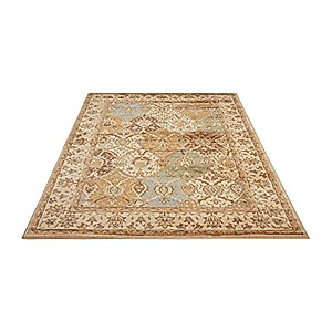 Nourison Modesto Traditional Beige 5'3" x 7'3" Area Rug, Easy Cleaning, Non Shedding, Bed Room, Living Room, Dining Room, Kitchen (5x7)