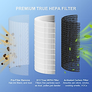 Ganteny MAX HEPA Filter Replacement Compatible with Afloia MAX/MAGE/MAGE PRO and Sans/Air-Honati/Compass Home Smart/Taylor Swoden/Cuckoo CAC-J1510FW Air Cleaner Purifier, 2 Pack