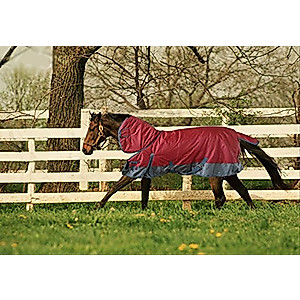 Turnout 1680D Horse Winter Waterproof with Neck Cover - Horse Blanket 001 - Size from 69" to 83" (75")