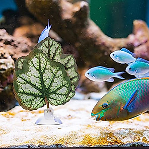 iplusmile Betta Fish Leaf Hammock- 2Pcs Aquarium Betta Fish Leaf Pad Fish Tank Resting Leaf with Suction Cups Hammock Breeding Bed for Beta Tank Decorations Green