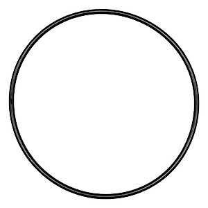 87300400 Body Filter O-Ring for Clean & Clear Predator Warrior R&S 447 Sta-Rite U9-389 Pool Filter Tank System (Set of 1)