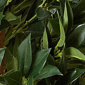 Nearly Natural 3-Ft. Bay Leaf Artificial Topiary UV Resistant (Indoor/Outdoor) Silk Trees, Green