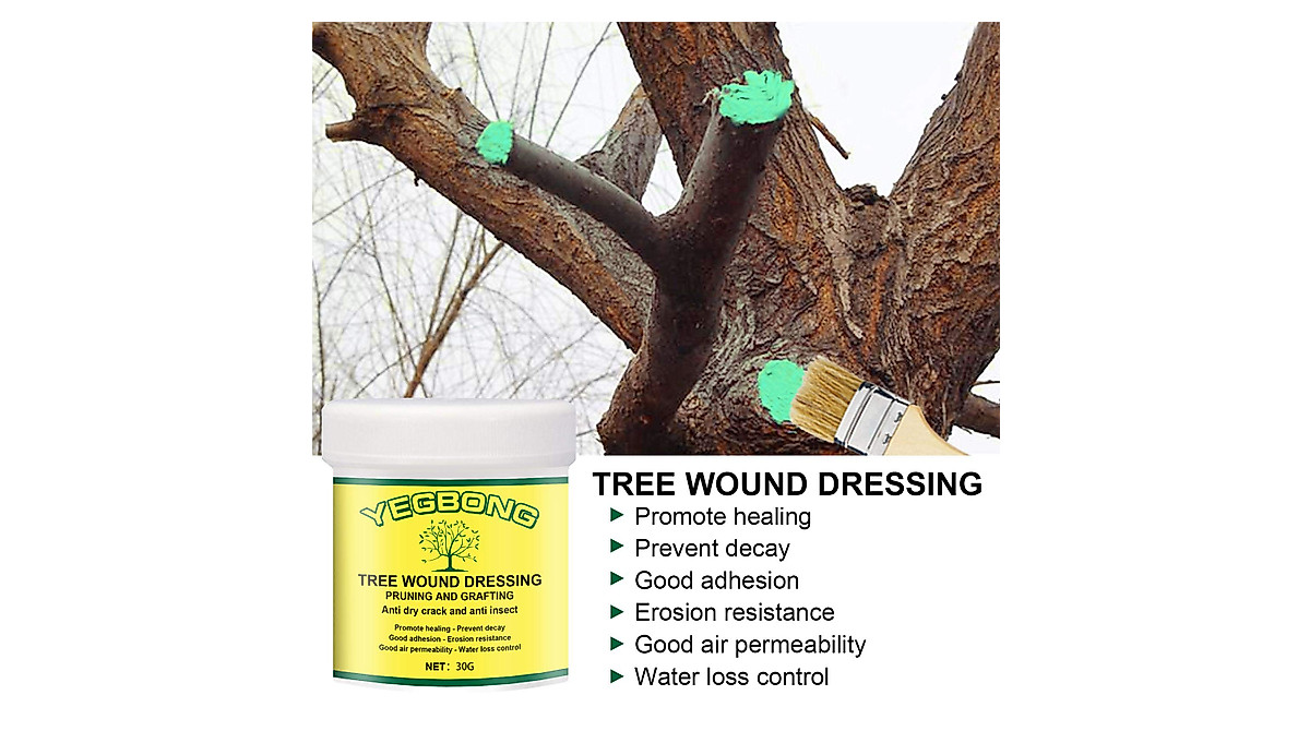 Garden Bonsai Plant Healing Paste, Tree Wound Pruning Sealer Bonsai ...