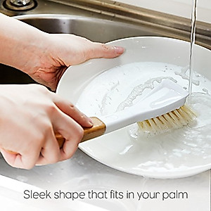 Full Circle Cleaning Products Laid Back Dish Sponge, Abrasive & Replaceable Head, White