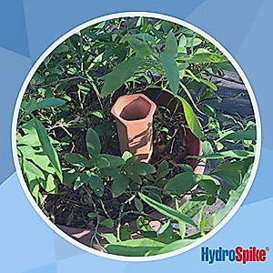 HydroSpike ClaySpike (4-Pack) Plant Terracotta Watering Spikes Kit for Outdoor Pot. 7 Inch Extra Long Stakes. Terra Cotta Self Automatic Slow Hydro Drip Irrigation System. Glass Wine Bottle Waterers