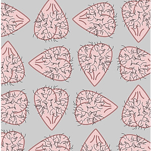 Stesha Party Adult Wrapping Paper for Valentines Day, Birthday, Anniversary, Holiday, Gag Gift - Folded Flat 30 x 20 Inch (3 Sheets)