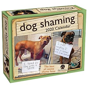 Dog Shaming 2020 Day-to-Day Calendar