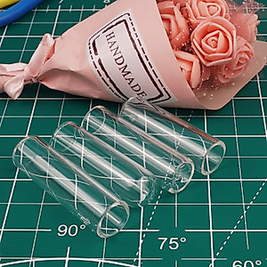 0.59 Inches Glass Straw Cap Fit the Tumblers with Lids and Straws, Straw Cover Clear, Keeps all the Dust Out, Healthy, Reusable,Eco Friendly