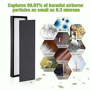 Housmile Replacement HEPA Filter B Compatible with G-guardian Models AC4825 AC4825E AC4825DLX AC4850PT AC4900CA AC4820 PureGuardian AP2200CA Plus 2 HEPA Filters and 4 Activated Carbon Filters -FLT4825