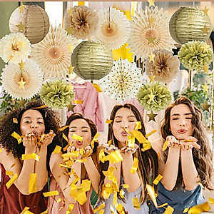 Brown Gold Party Decorations Paper Lanterns Cream Tissue Paper Pom Poms Flowers with Star Garland for Brown Birthday Party Rustic Wedding Baby Shower Retirement Gold Graduation Decorations