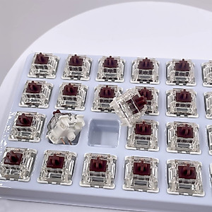 kutethy Gateron G Brown Pro 2.0 Switches Pre-lubed 3pin RGB SMD Tactile for Gaming Mechanical Keyboard DIY Hotswap Keyboard Switches (36Pcs, Pro Brown 2.0)