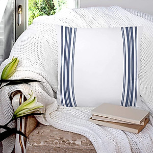 Roses Garden Decorative Throw Pillow Cover Blue and White Stripe Pillow Case Square Cushion Cover Super Soft Brushed Fabric Pillowcase for Home Couch Sofa Bed, 16" x 16"
