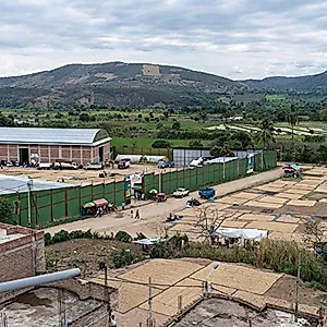 Tiny Footprint Coffee - Peru, Medium Roast, USDA Organic Ground Coffee, Fair Trade Certified - 16 Ounce