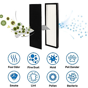 HEPA Air Purifier Replacement Filter B,replacement Filter B for AC4900, AC4825, AC4850PT, CDAP4500, AC4300, and More,1+1