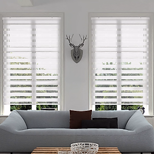 Bliwans Zebra Roller Shades, Zebra Blinds for Windows, Dual Layer, Sheer Privacy or Light Filtering for Day and Night, Roll Up and Down, Window Blinds for Home, Office, Kitchen, 35" W X 64" H, White