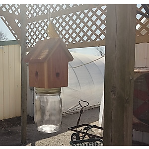 Amish-Made Rustic Carpenter bee catching Device