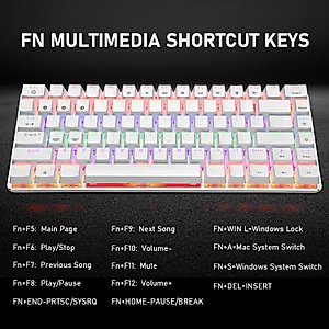 LexonElec Wireless Mechanical Keyboard,Two Mode BT5.0/USB-C 82 Keys Bluetooth Mechanical Keyboard,Rainbow LED Backlit,Compact Gaming Keyboard for Windows Mac PC Gamer(White)