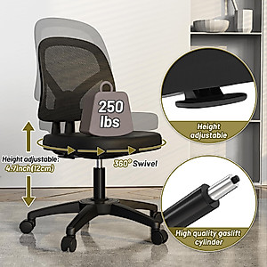Armless Mesh Small Home Office Computer Desk Chair Without Arms with Lumber Support and Adjustable Height for Child and Adult