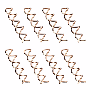 eBoot Spiral Hair Pin Spin Pin Spiral Hair Clip Spin Clip Bun Stick Pick for DIY Hair Style 20 Pack (Rose Gold)