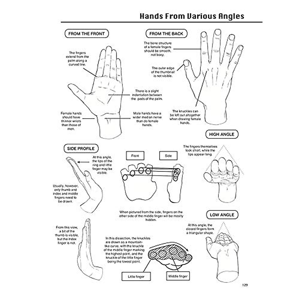 How to Draw Manga: Basics and Beyond! (Manga University Presents ... How to Draw Manga)