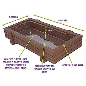 MICROGREEN PROS Cat Grass for Indoor Cats Kit with Rustic Wood Planter, Certified Organic Seeds, Soil, Water Spray Bottle and Easy to Follow Instructions. 100% Guaranteed to Grow.