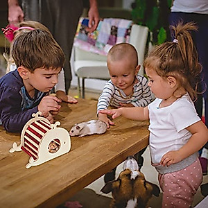 PATKAW Rabbit Toys Tree Hut Wooden Hamster House Whale Shaped Wood Small Animal Hideout Hamster Hut Nesting Habitat for Small Animals Hamsters Guinea Pig Rat Rabbit Toys Tree Hut