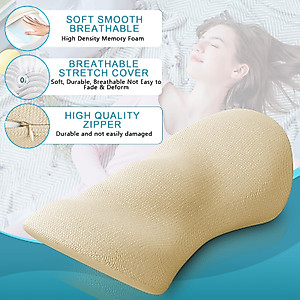 kasney Lumbar Support Pillow for Chair, Comfortable Low Back Pillow for Back Pain Relief Improve Posture, Ergonomic Streamline Neo Cushion for Car Seat, Office Chair, Recliner and Bed (Beige)