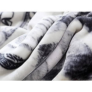 USA 100 Dollar Blanket, Traveling, Hiking, Camping, Full Queen, TV, Cabin, Couch, Bed Throw. 75" Wx90 H 3.5LBS, Reversable, Fuzzy Mink Cozy Warm Home Fashion