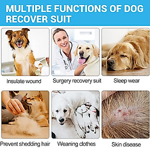 Dog Recovery Suit Abdominal Wound After Surgery Wear, Dog Anti-Licking Elastic Tights Bodysuit, Preventing Full Body for Shedding, Allergy, Wound Protection, E Collar Alternative