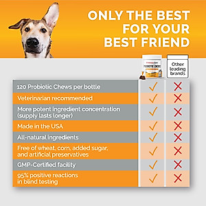 PREMIUM CARE Probiotics for Dogs for Yeast, Itchy Skin and Itchy Ears - Advanced Probiotic for Gut Health, Gut Flora, Bowel Health Support, Diarrhea, Digestive Health & Seasonal Allergies- 120 Chews