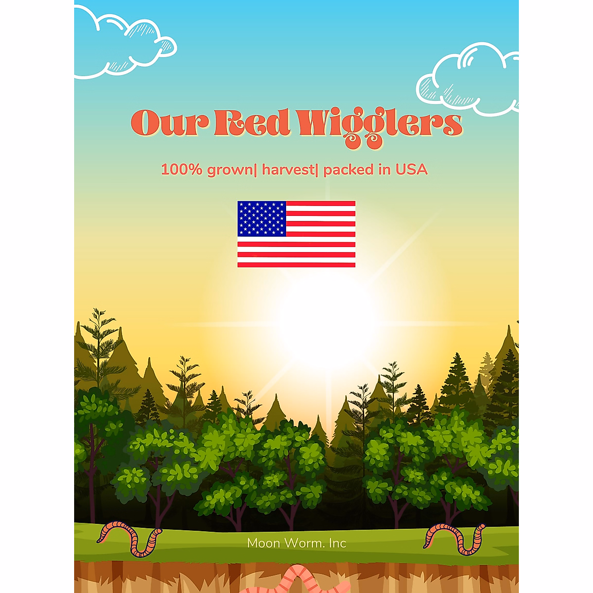 500+ Live Red Wigglers Composting Worms, Composting Bins