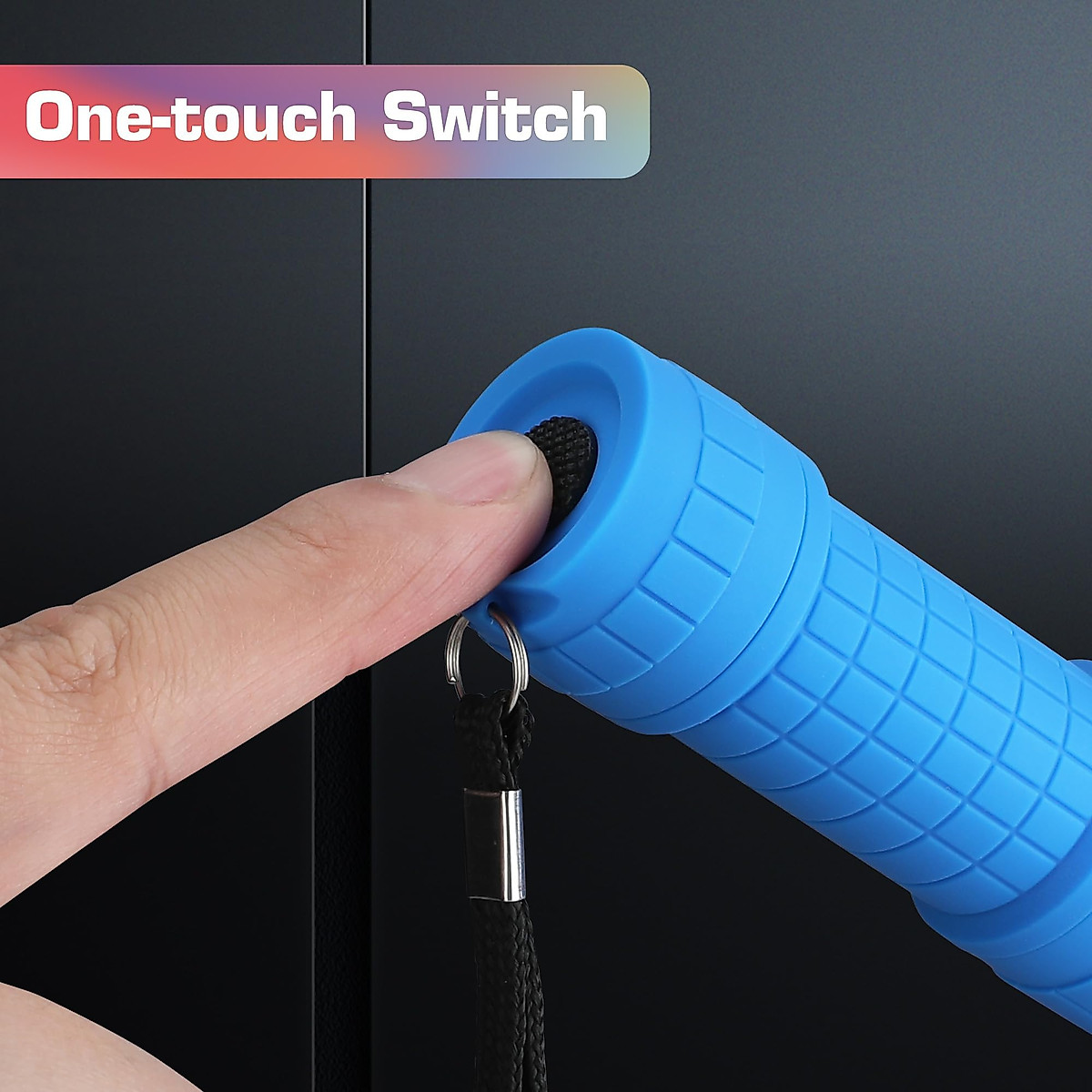 EverBrite 9-LED Flashlight 6-Pack Compact Handheld Torch Assorted Colors with Lanyard 3AAA Battery Included (Hurricane Supplies, Camping)