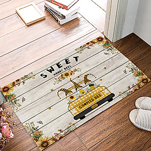 Doormat Bath Rugs Non Slip Buffalo Truck Gnome Retro Sunflower Stripe Wood Grain Washable Cover Floor Rug Absorbent Carpets Floor Mat Home Decor for Kitchen Bathroom Bedroom (16x24)