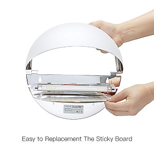 Faicuk FA-FLT07 Wall Sconce Fly Light+Replacement Glue Board Pack of 10 (2 Packages are Delivered Separately).