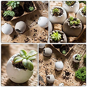 Egg Shell Succulent Flowerpot Desktop Stand Small Succulent Pots Bonsai Pots Planters for Indoor Plants Porcelain Plant Pots Flower Decor Concrete Nursery Earth Tones Office