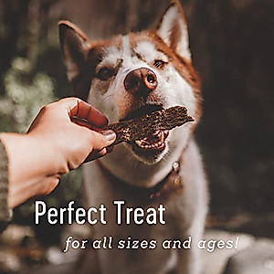 Farm Hounds Premium Natural Duck Treats for Dogs, 100% Made from Humanely-Raised Ducks, No Fillers Added, Nutrient-Rich Duck Jerky Dog Treats, Healthy Delicious Dog Strips, Made in USA
