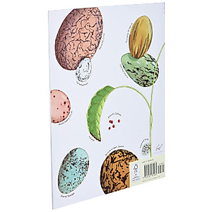 An Egg Is Quiet: (Picture Book, Kids Book about Eggs) (Sylvia Long)