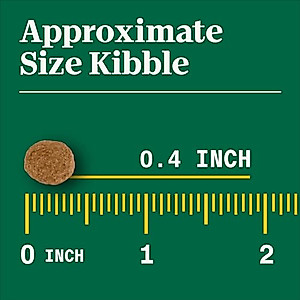 Nutro Natural Choice Puppy Dry Dog Food, Lamb & Brown Rice Recipe, 12 lb. Bag