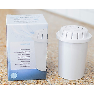 F004 REPLACEMENT FILTER - for Life Ionizer Glass Pitcher of Life - Alkaline Water Filter Cartridge - Pack of 1
