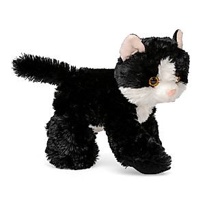 Jolitee Kitten Cat Collection Small Plush Stuffed Animal 8 inch (Tuxedo)