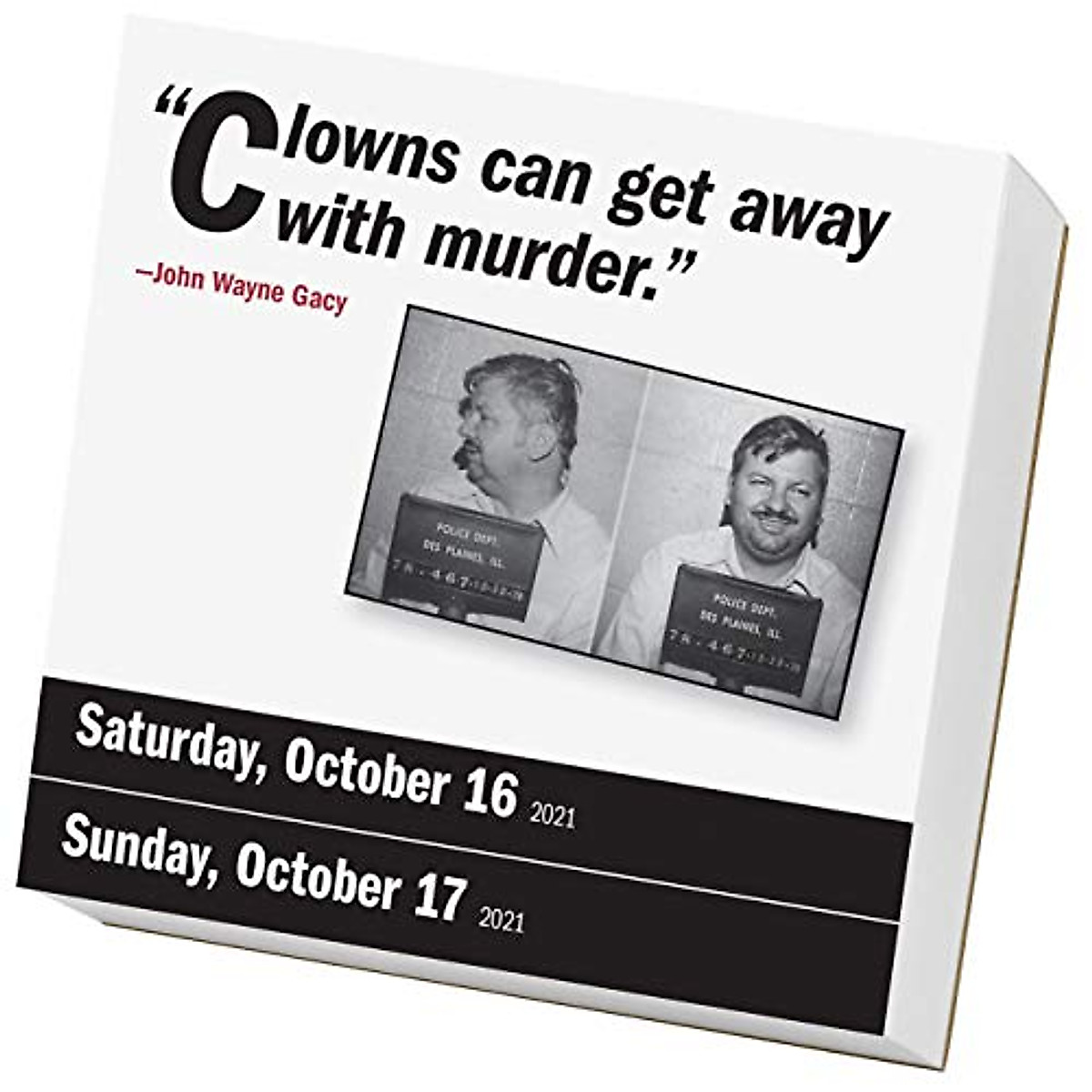 A Year of True Crime Page-A-Day Calendar 2021